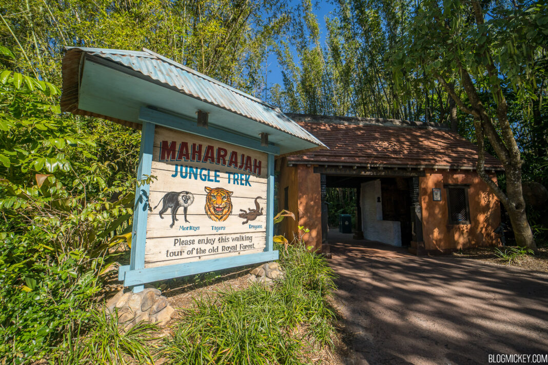 Maharajah Jungle Trek Aviary Closed for Refurbishment at Animal Kingdom