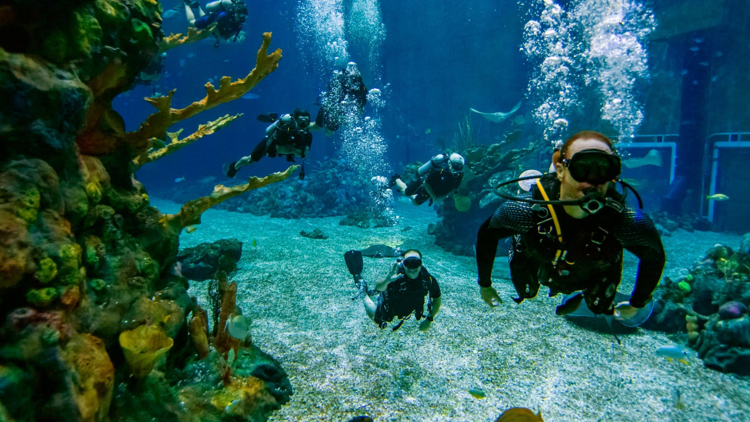 EPCOT DiveQuest Scuba Diving Experience Returns May 1st