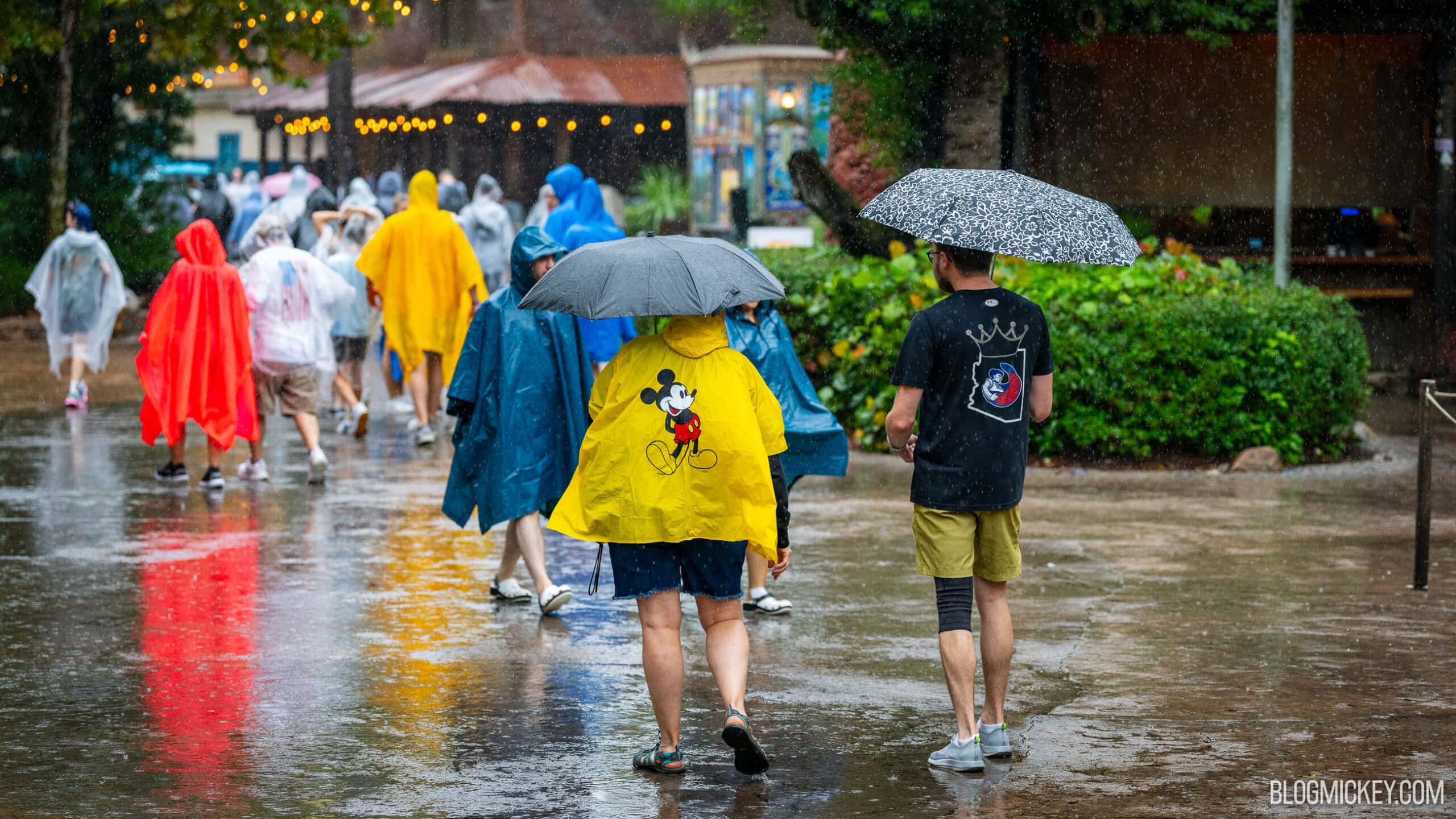 Walt Disney World Suffers Another Power Surge, Multiple Attractions Closed