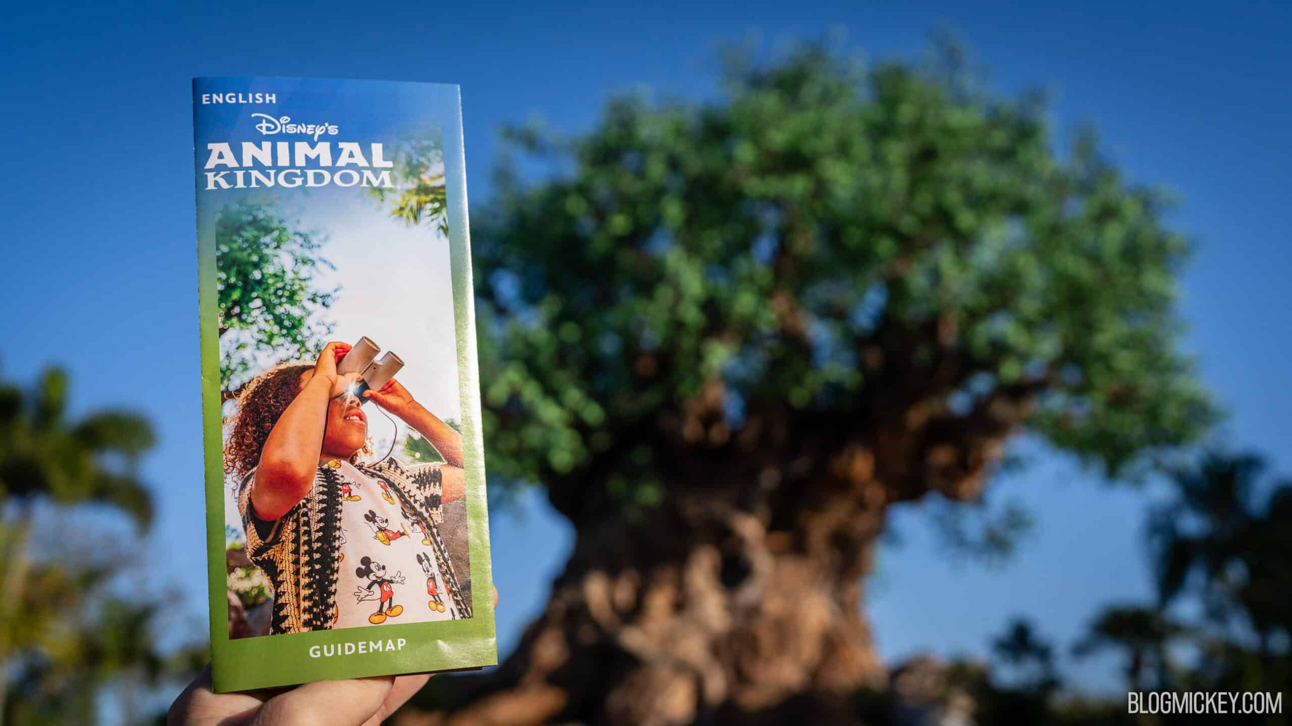 New Animal Kingdom Map Highlights DinoLand USA Extinction, Removes It's ...