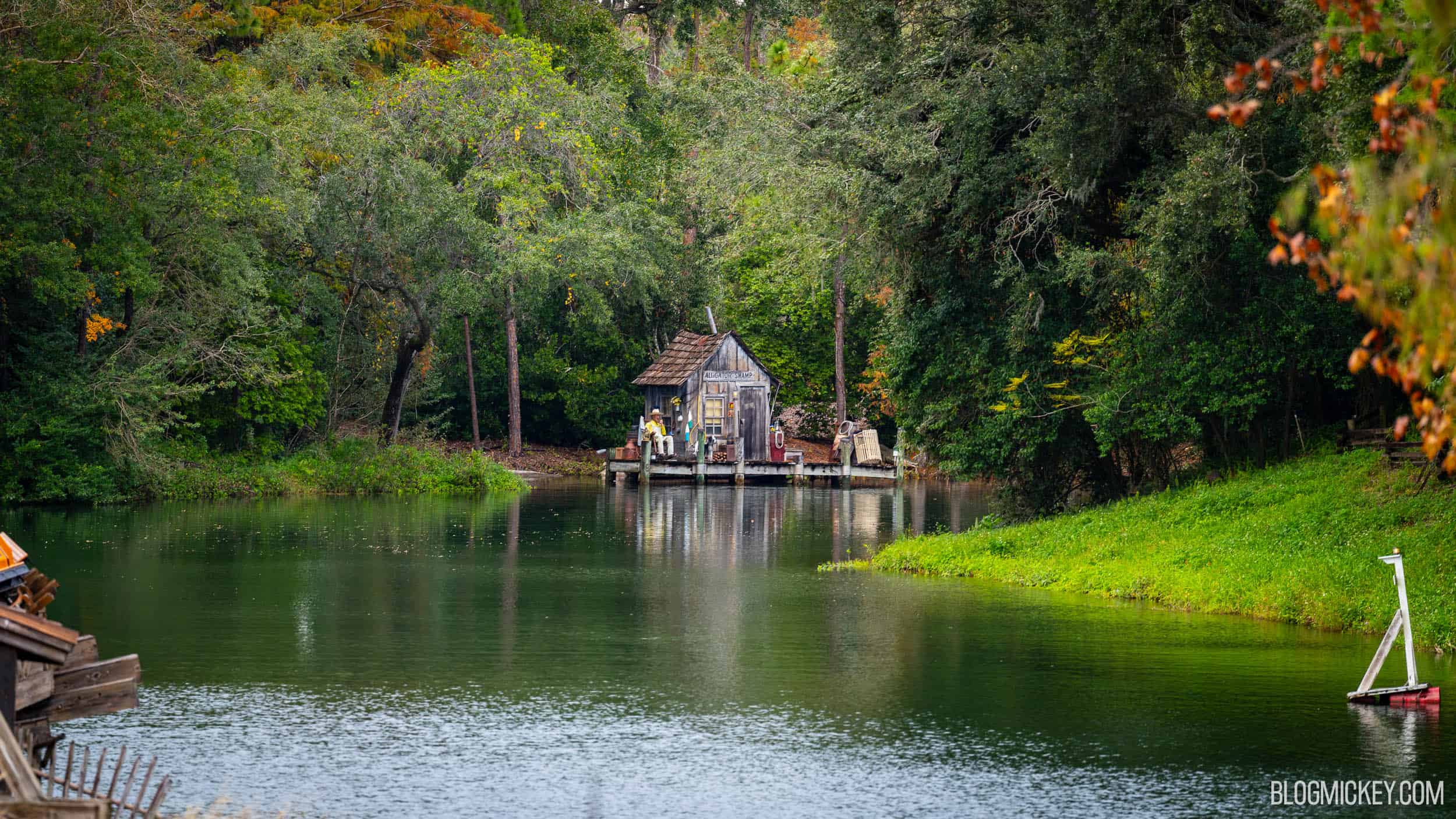 Magic Kingdom Villains Land: Disney Begins Land Clearing Near Rivers of ...