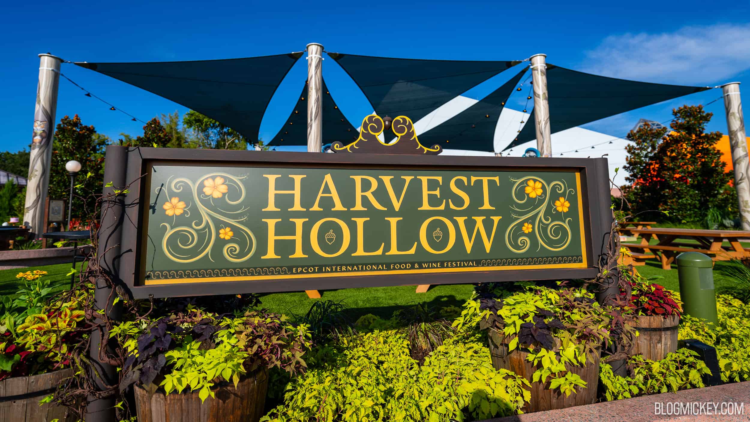 Harvest Hollow Expands With New Original Characters for 2025 EPCOT Food ...