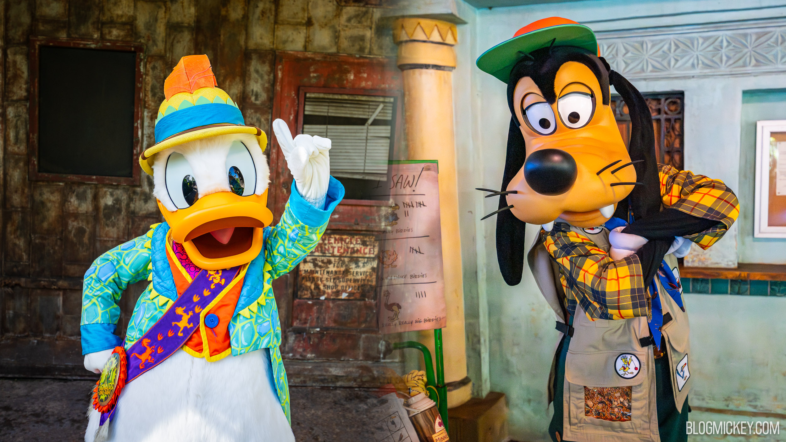 Tropical Americas Construction Relocates Donald Duck & Goofy Meet and ...