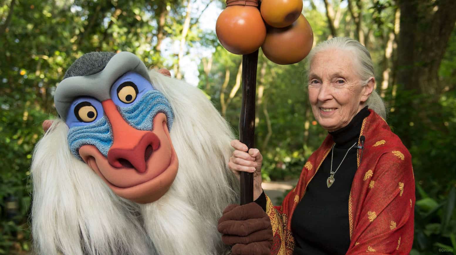 Disney Offers Statement on Passing of Dr. Jane Goodall