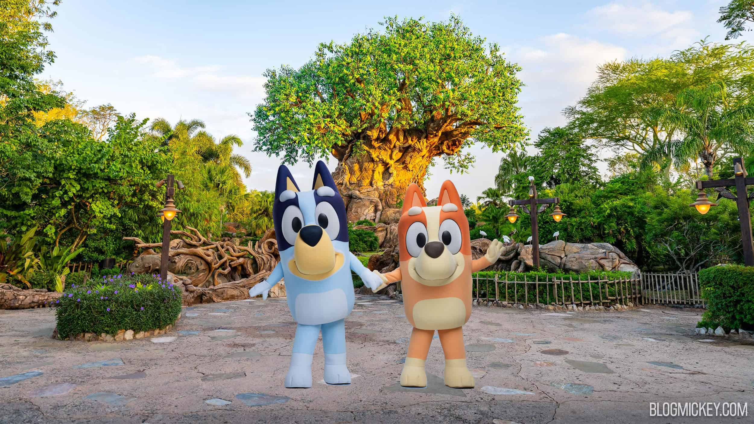Bluey Arrives at Disney's Animal Kingdom in Summer 2026