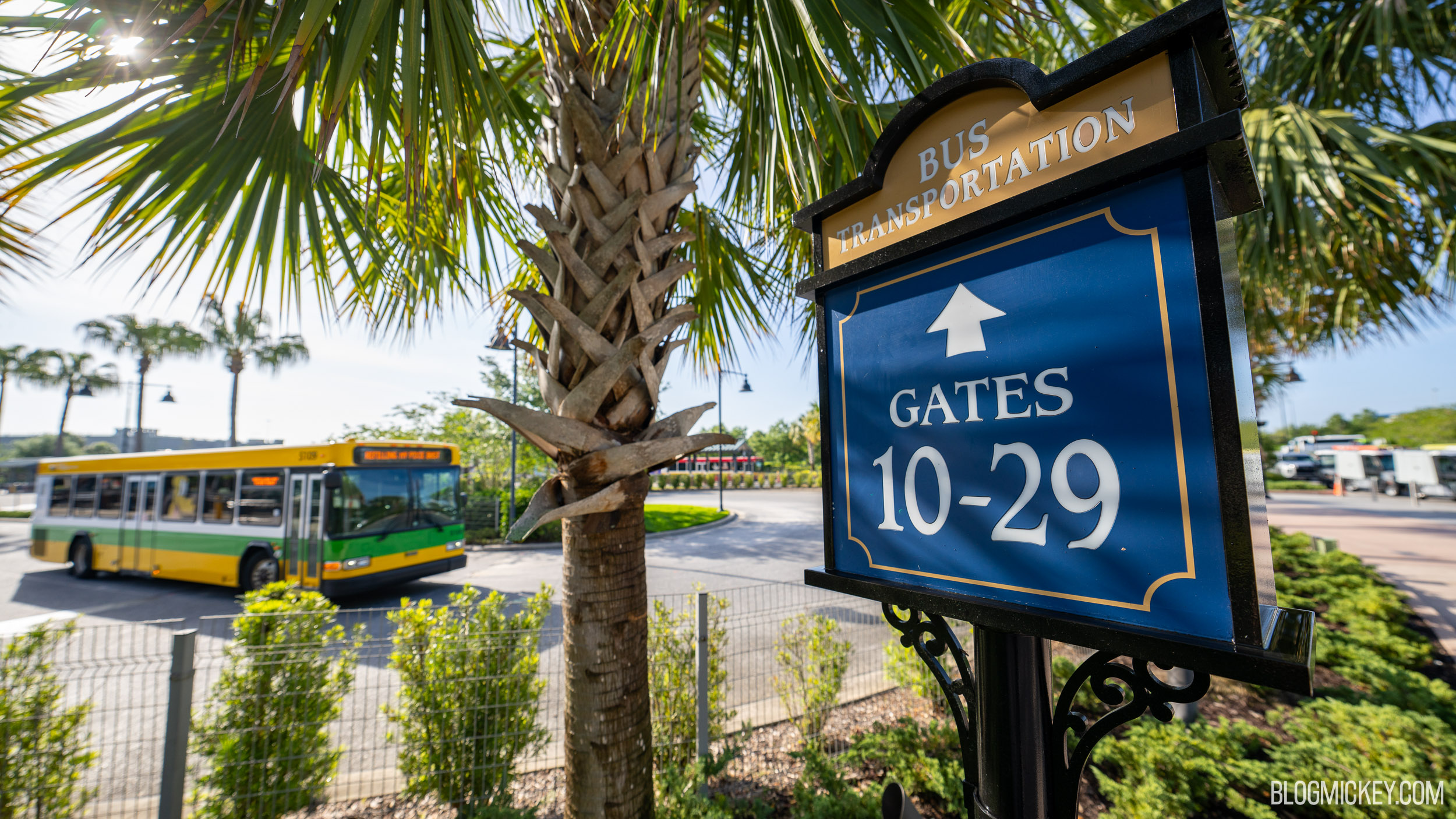 Disney Springs to Implement Permanent Bus & Watercraft Restrictions for ...