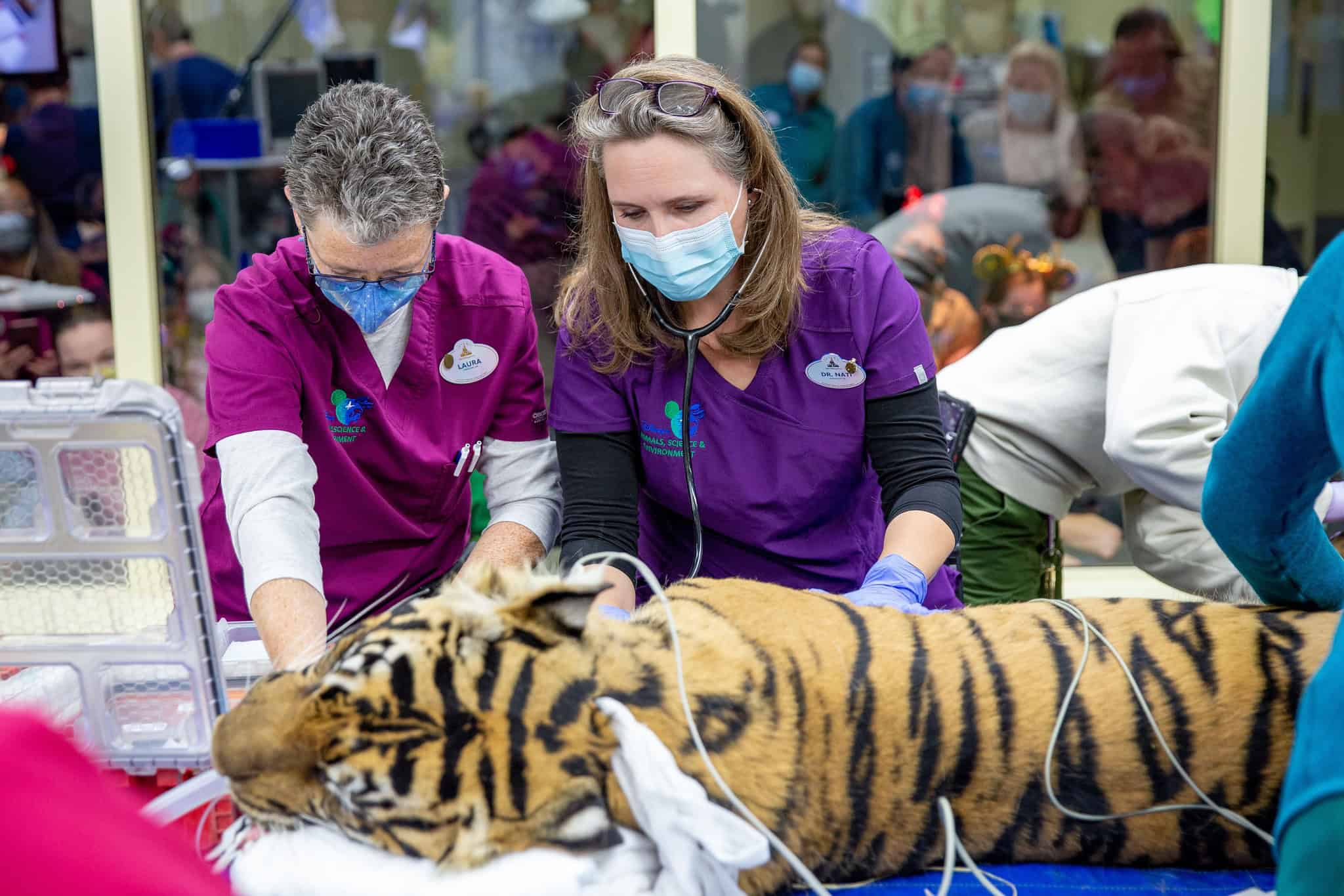 Fan-Favorite Animal Care Offerings Remain at Conservation Station ...